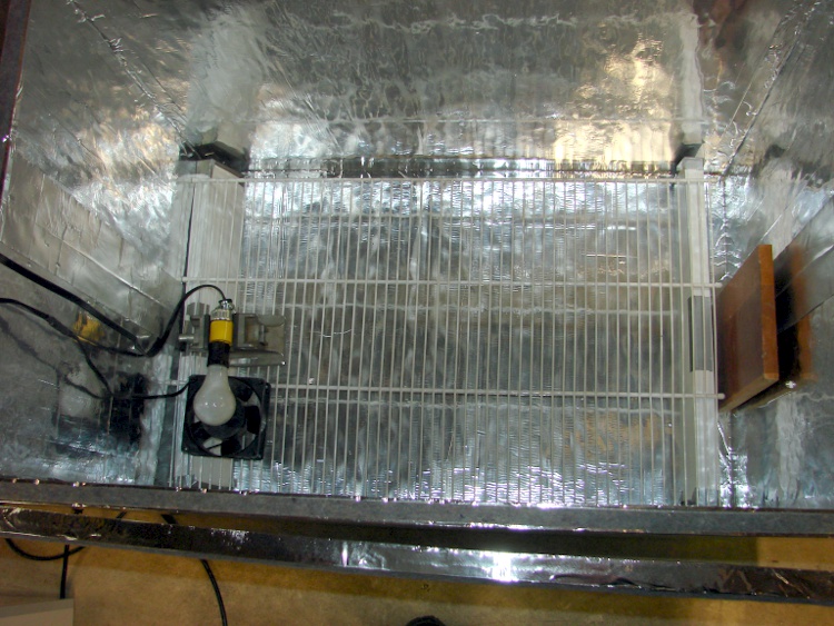 Bed Bugs: Hot Box Disinsector – The Smell of Molten Projects in the Morning