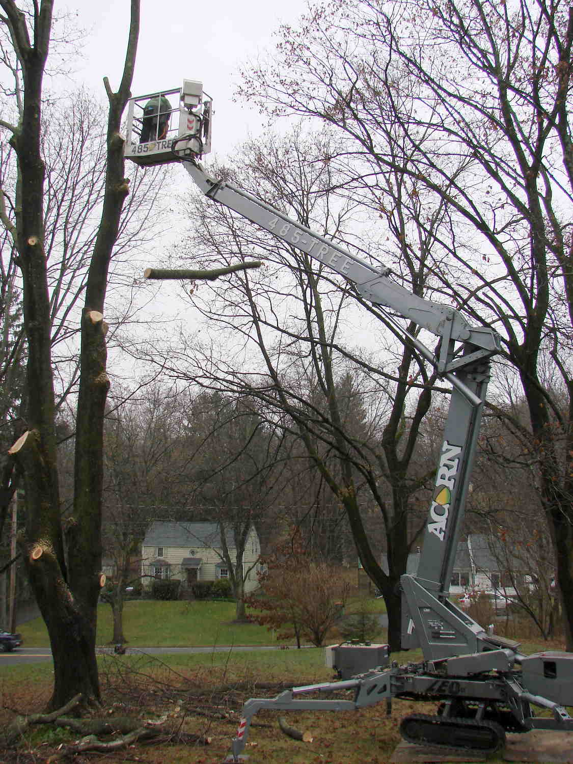 Treecutting – The Smell of Molten Projects in the Morning