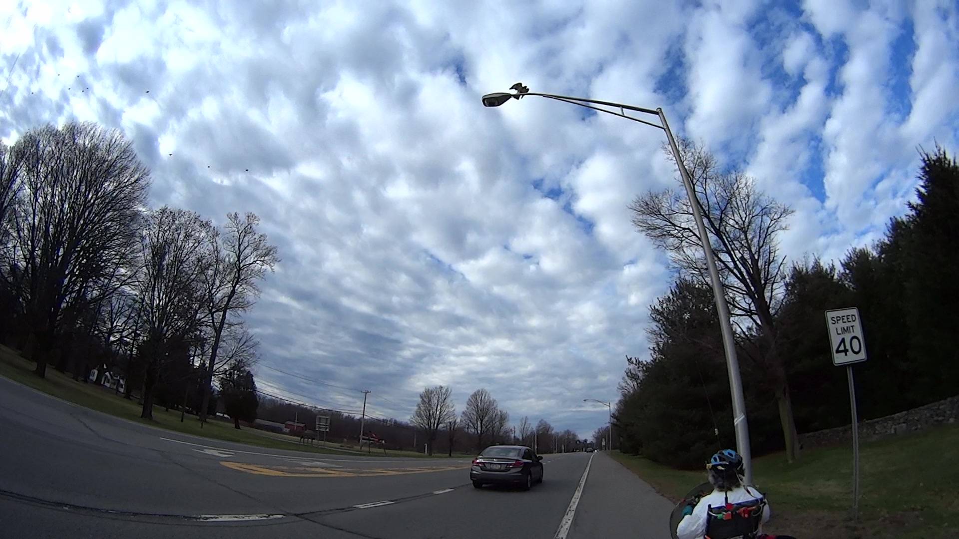 Monthly Image: Hawk Overhead – The Smell of Molten Projects in the Morning