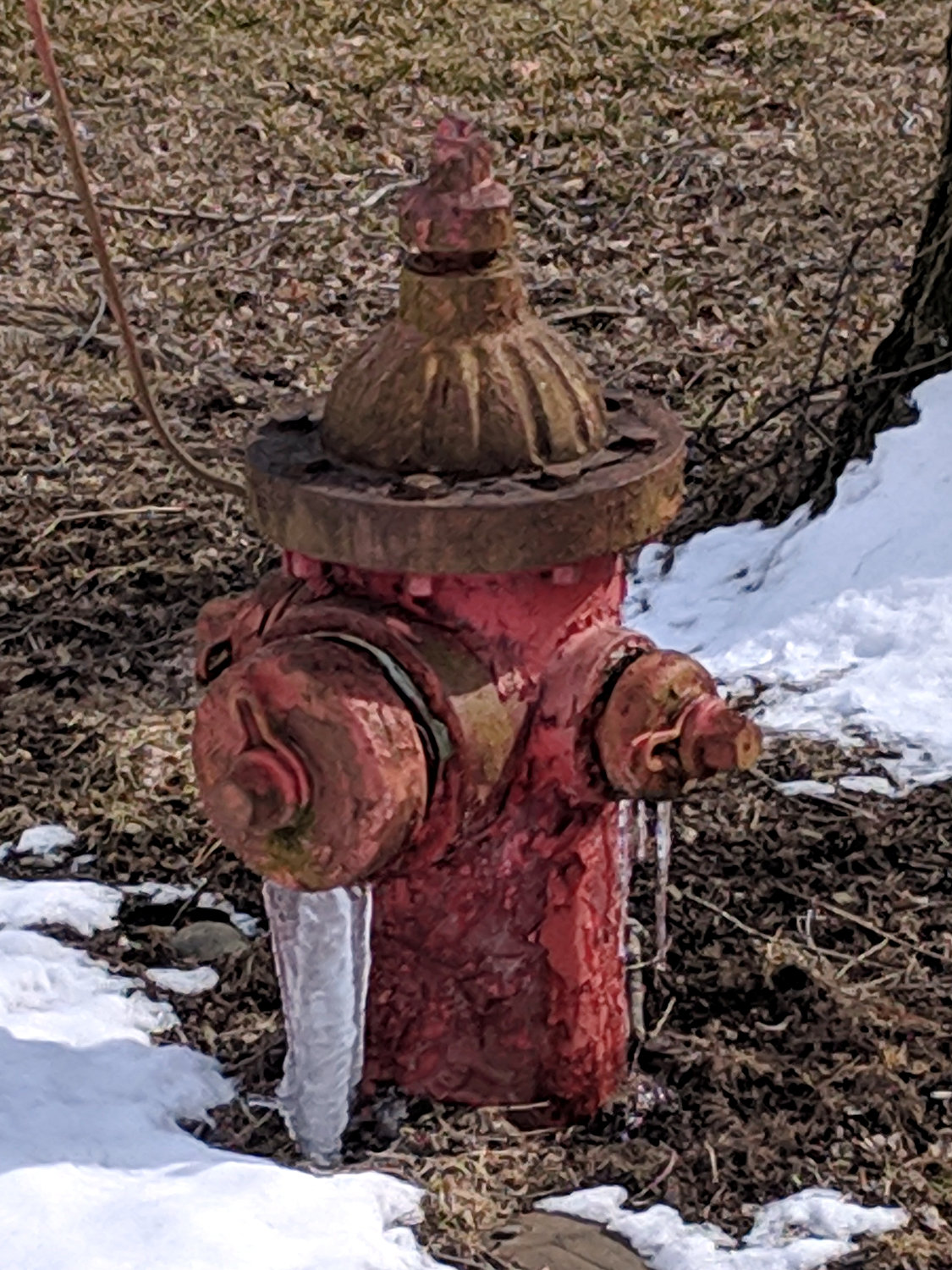 Frozen Fire Hydrant – The Smell of Molten Projects in the Morning