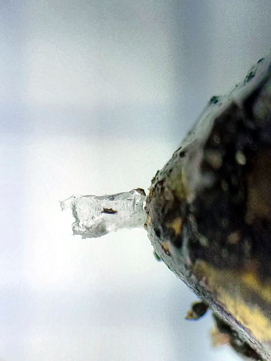 M2 Nozzle Clog: FOD – The Smell of Molten Projects in the Morning
