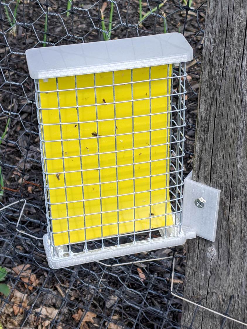 Sticky Trap Screen Frames – The Smell of Molten Projects in the Morning