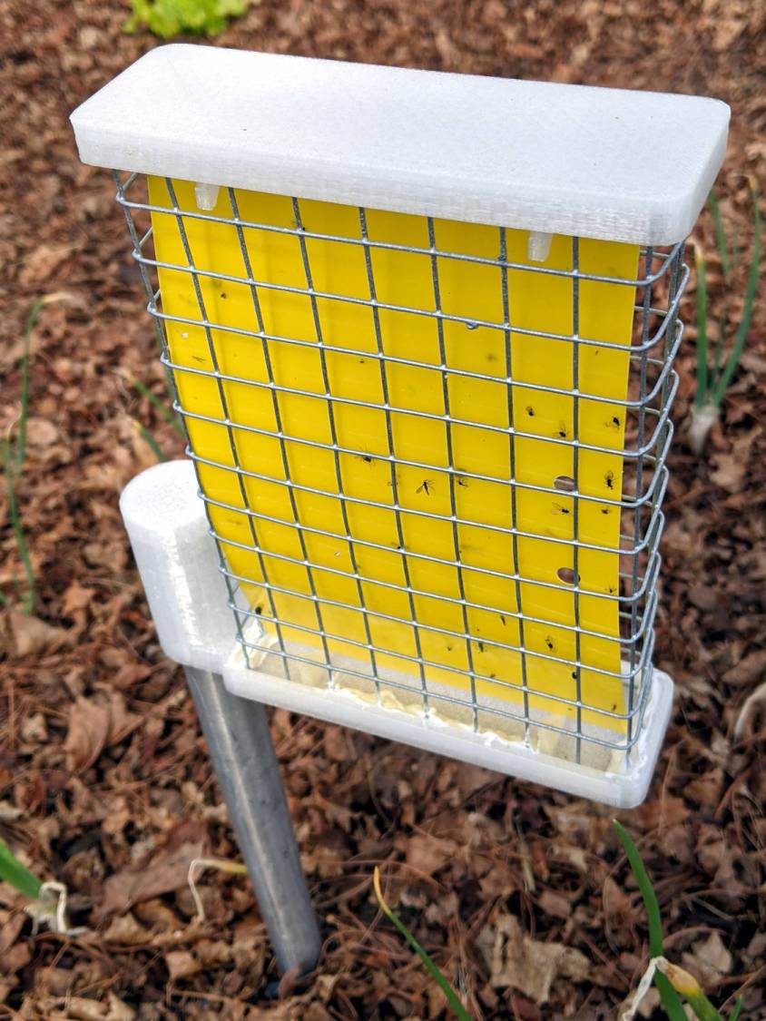 Sticky Trap Screen Frames – The Smell of Molten Projects in the Morning