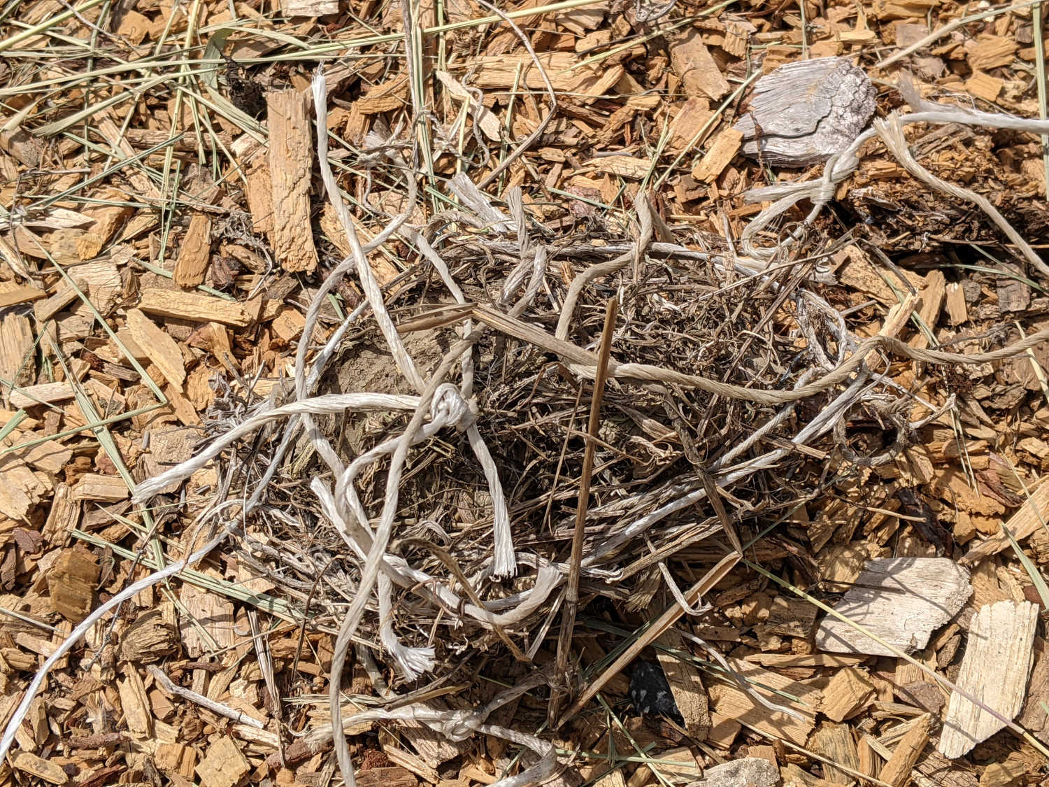 Bird Nest Material: Plastic String – The Smell of Molten Projects in ...