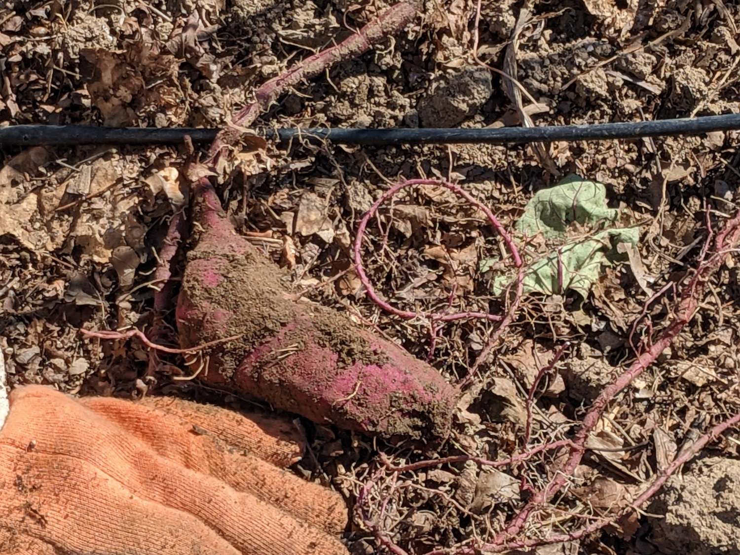 Dripworks Mainline Puncture: In A Good Cause – The Smell of Molten ...