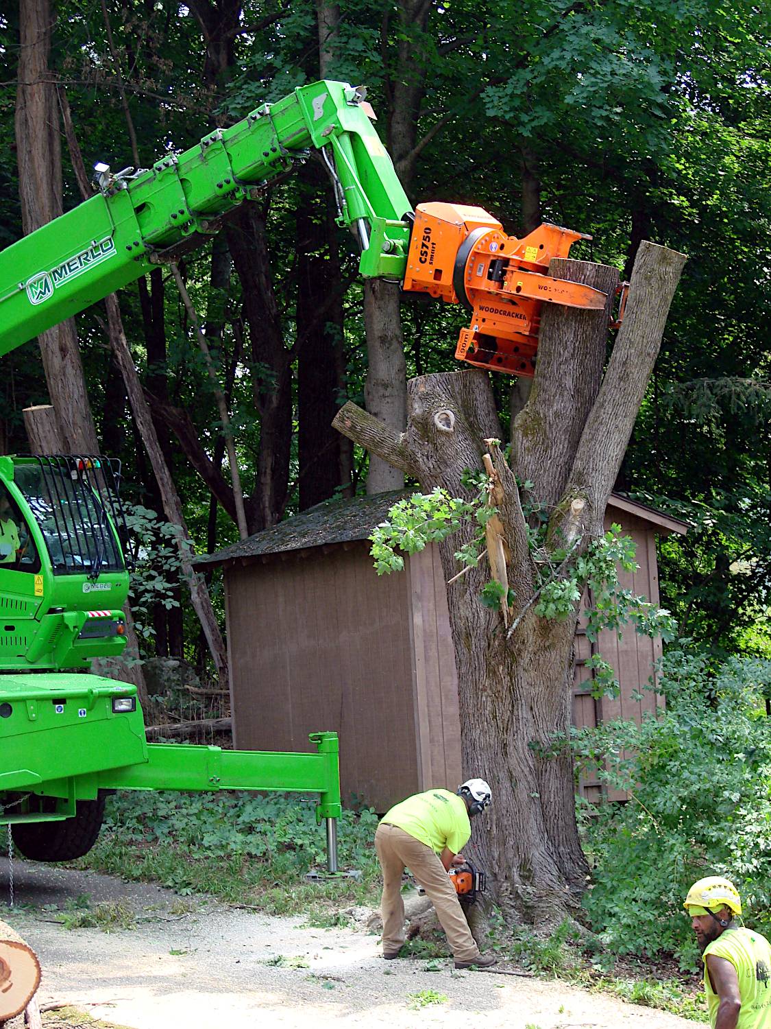 Tree Work: Merlo Roto with Treecracker – The Smell of Molten Projects ...