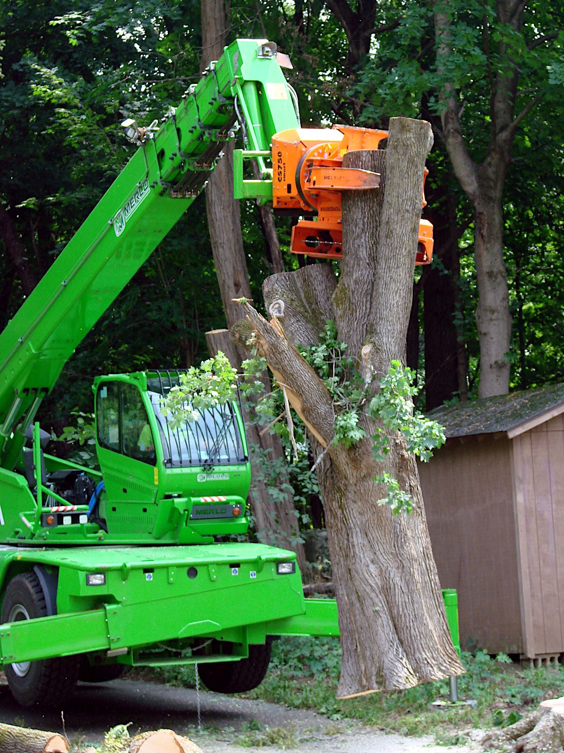 Tree Work: Merlo Roto with Treecracker – The Smell of Molten Projects ...