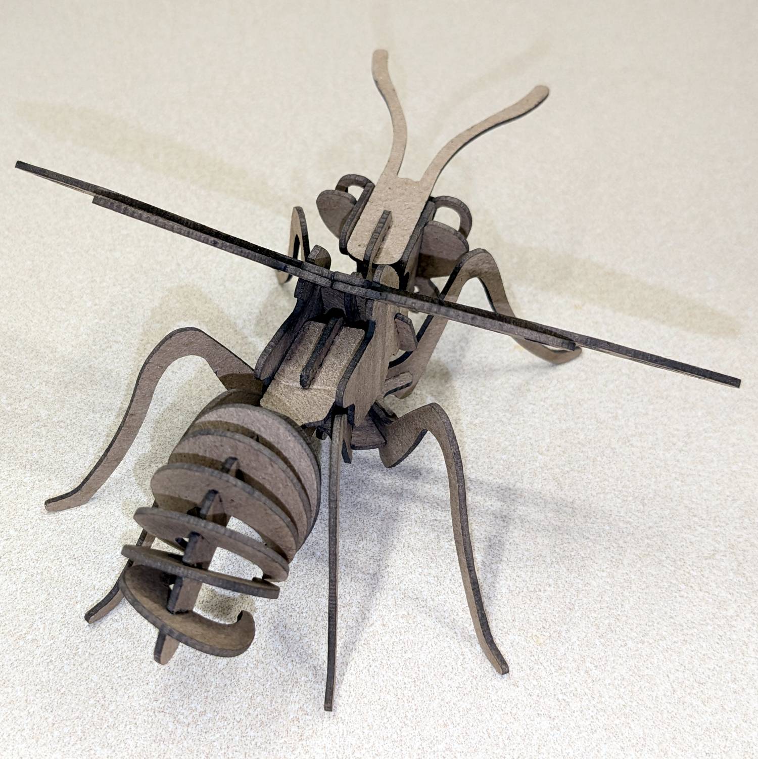 Slotted Bee and Mud Dauber Wasp – The Smell of Molten Projects in the ...