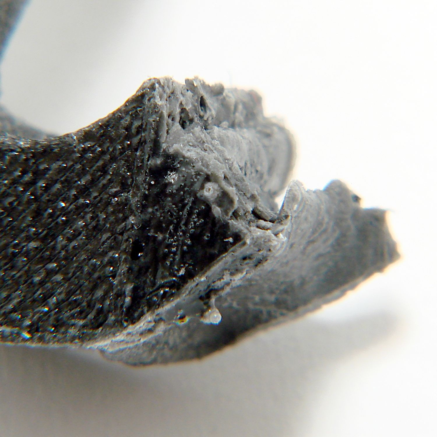 Humidifier Lid Hinges – The Smell of Molten Projects in the Morning
