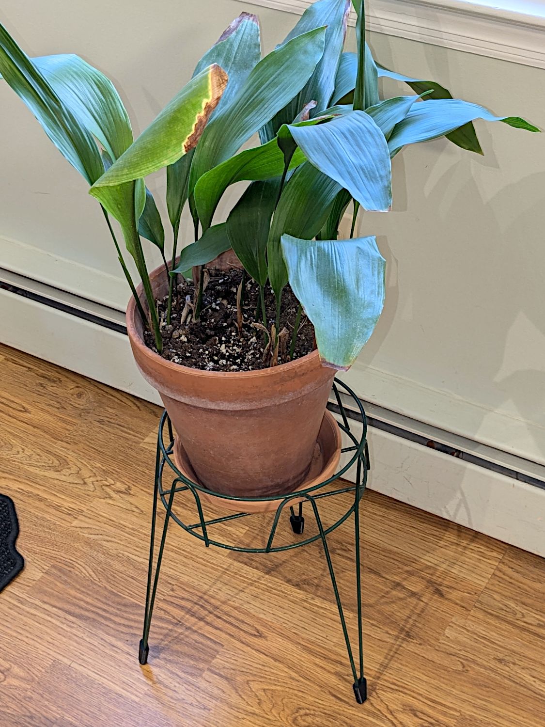 Wire Plant Stand Feet – The Smell of Molten Projects in the Morning