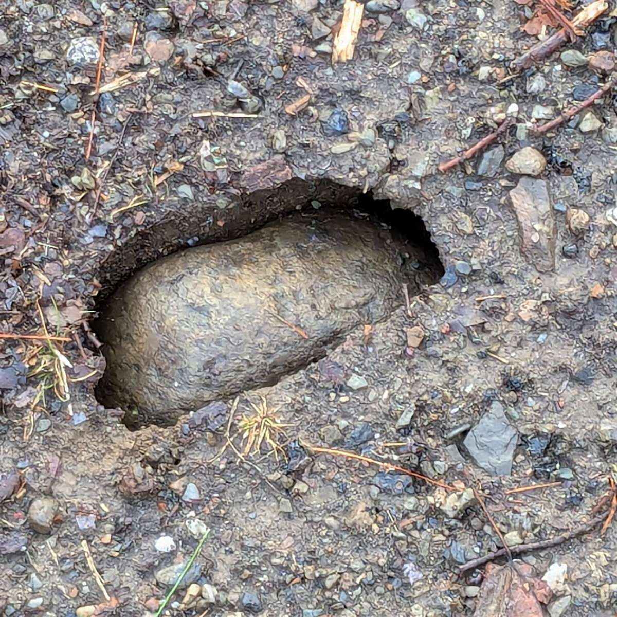 Sinking Rocks – The Smell of Molten Projects in the Morning